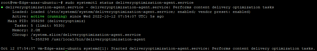 Problem with using device update agent on Ubuntu 20.04 · Issue #224 · Azure/iot-hub-device ...
