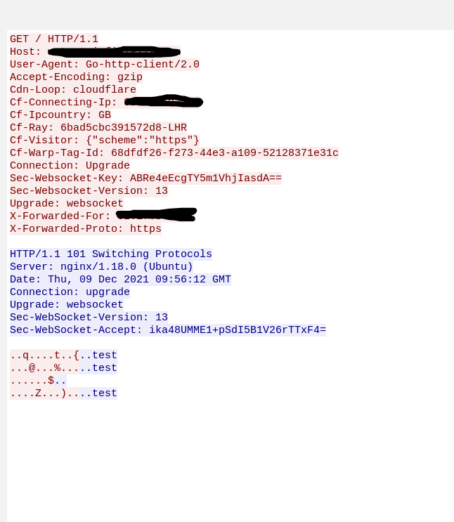 Websocket Connections Don T Work In 2021 11 0 · Issue 526 · Cloudflare Cloudflared · Github