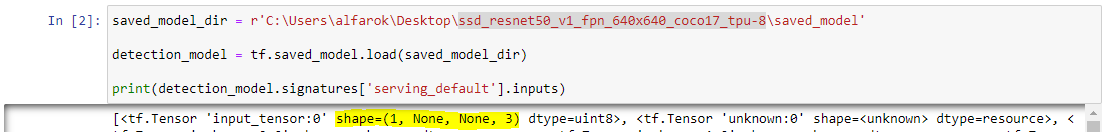 TFLite conversion produces model with a different input shape despite providing input parameter ...