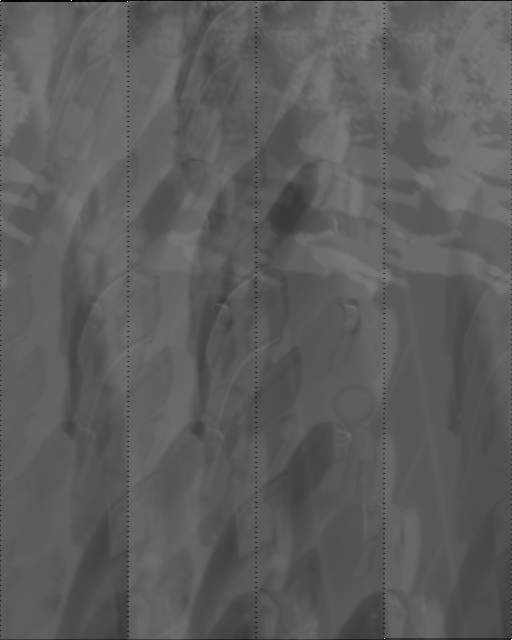 自定义模型转换后，中间推理结果不对，图像还有错位 · Issue 3232 · Tencentncnn · Github 
