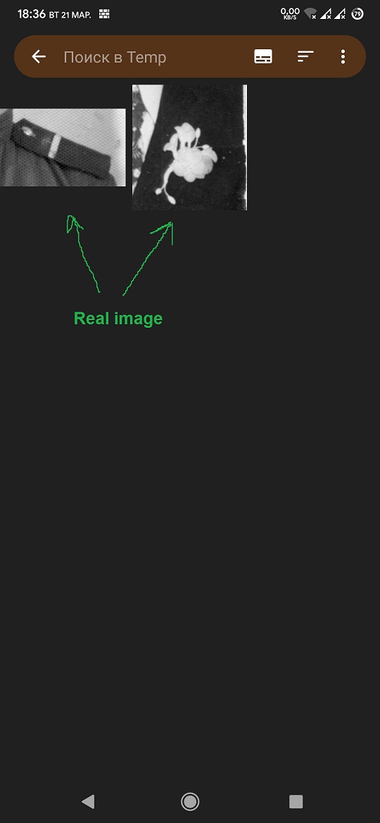 [BUG] does not show the photo in full screen · Issue #2808 · SimpleMobileTools/Simple-Gallery ...