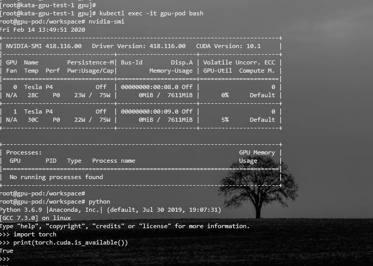 Add support for configuring nvidia GPU access for container · Issue #735 · kata-containers/agent ...