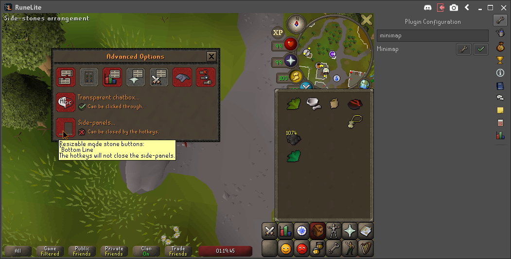 "Hide Minimap" · Issue #2922 · runelite/runelite · GitHub