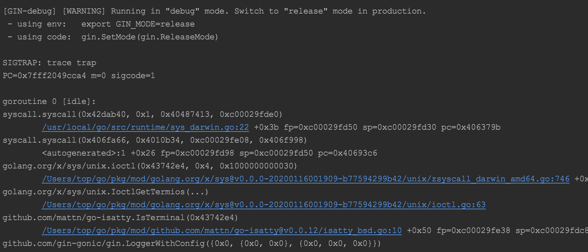use cgo error · Issue #2915 · gin-gonic/gin · GitHub