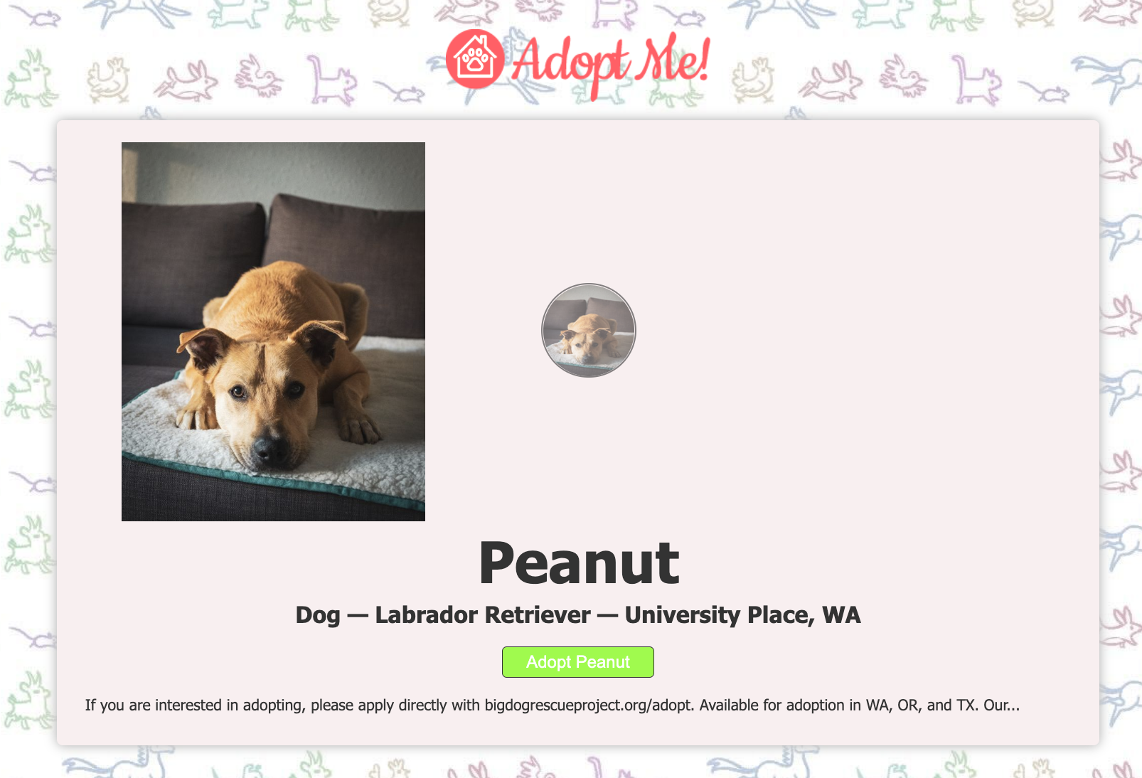 GitHub - stevenkang3/adopt-a-pet: Adopt a pet app using React JS
