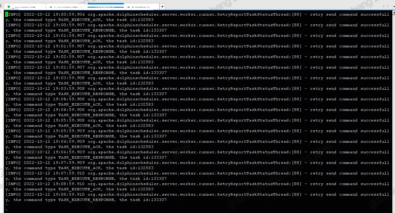 [Bug] [Master Worker] when i use open api to submit a task, the worker sometimes can not execute ...