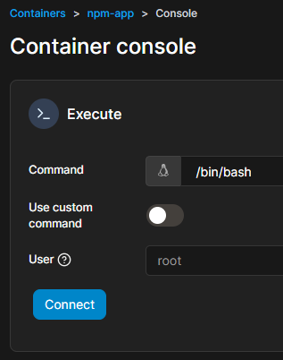 Can't connect to container console via GUI - EE 2.18.3 · Issue #9137 · portainer/portainer · GitHub