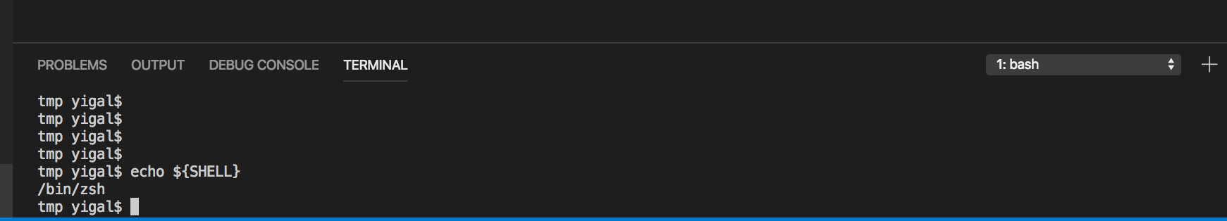 Can't change Terminal default shell to bash · Issue #83427 · microsoft/vscode · GitHub
