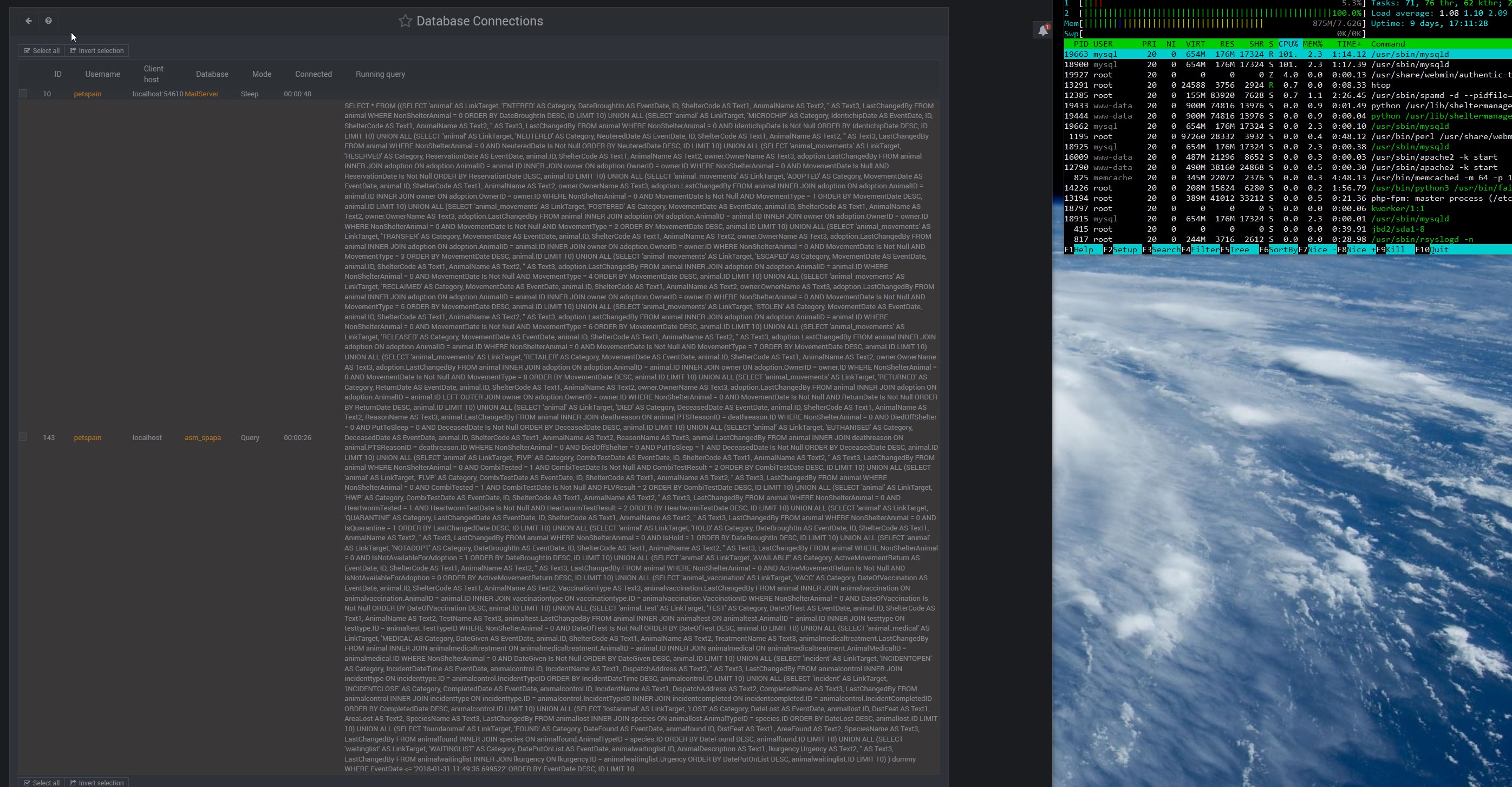 Error of SQL go to 100% of our CPU. · Issue #348 · sheltermanager/asm3 · GitHub