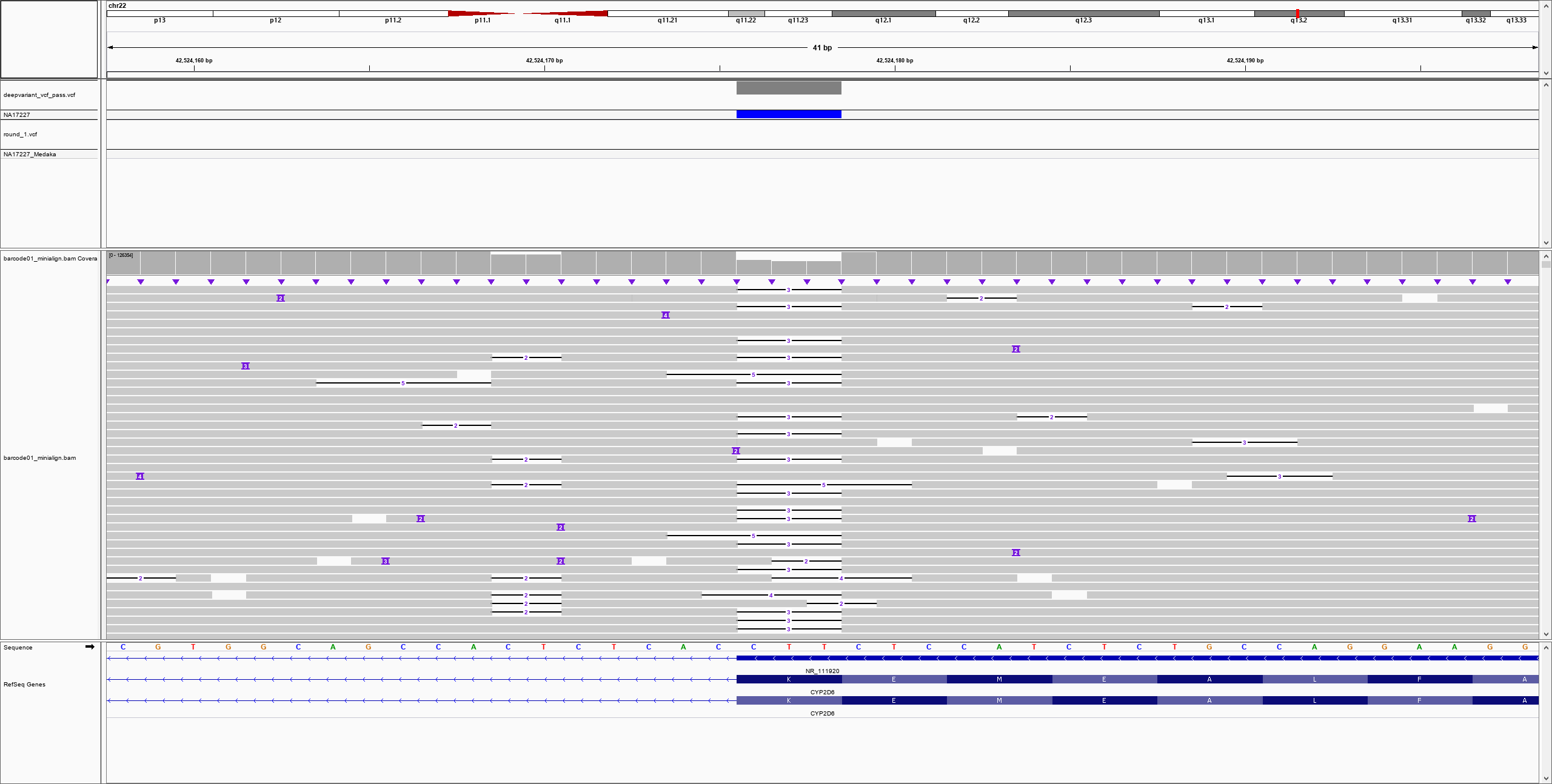 False negative InDel vs DeepVariant · Issue #191 · nanoporetech/medaka · GitHub