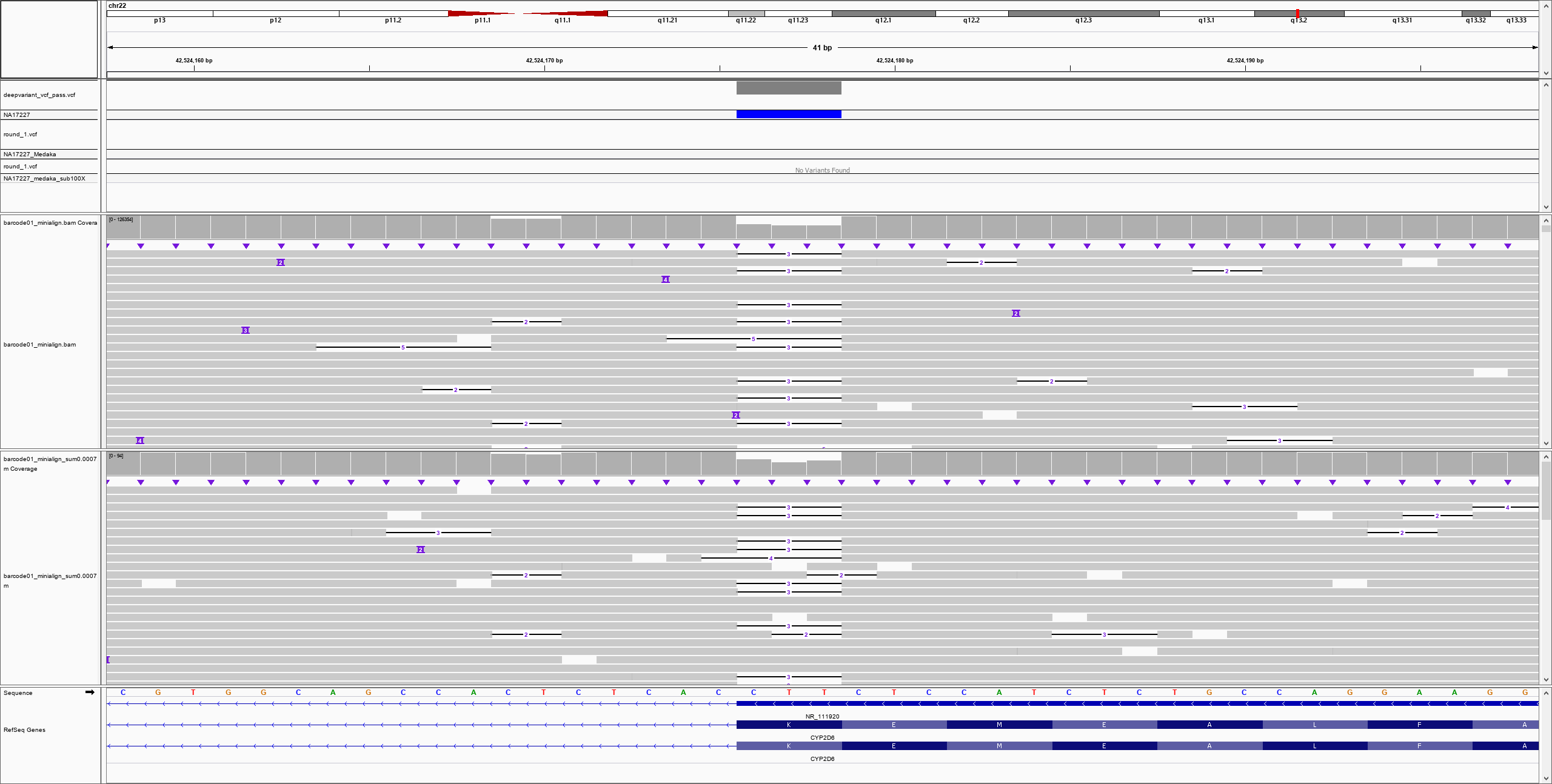 False negative InDel vs DeepVariant · Issue #191 · nanoporetech/medaka · GitHub
