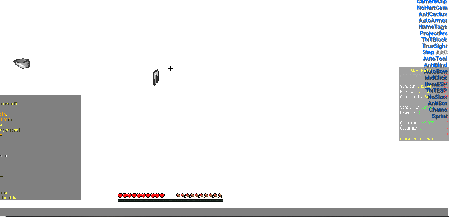 [BUG] About Optifine Fast Render And ESP Modules Bug · Issue #3526 · CCBlueX/Old-LiquidBounce ...