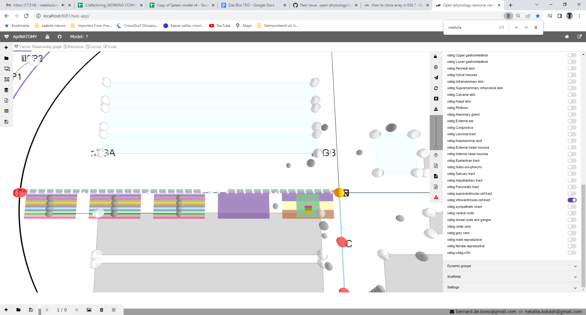 Adjust layout to correctly visualize chains sharing lyphs · Issue #168 · open-physiology/open ...