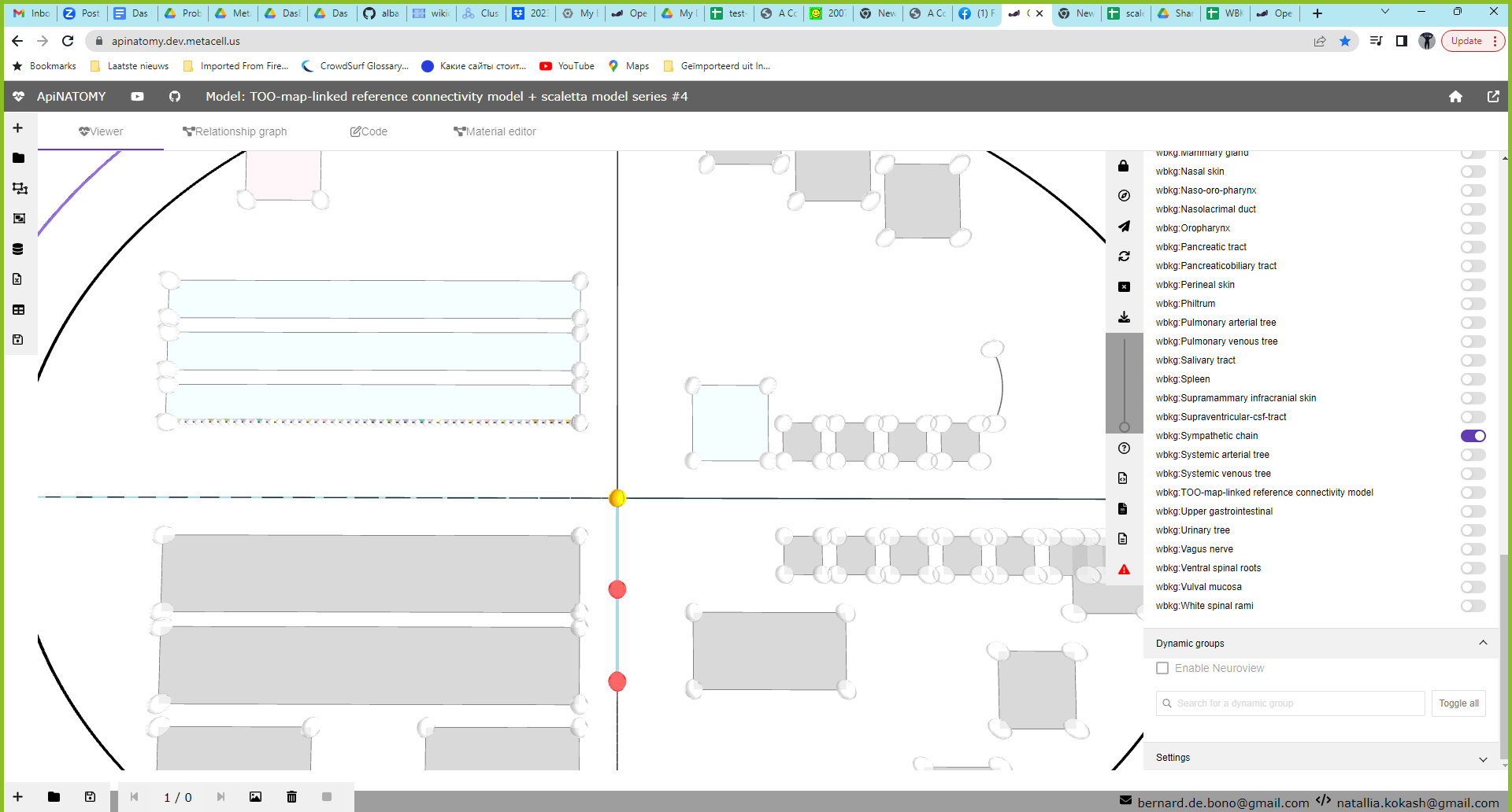 Scaletta 4 + WBKG lost Dynamic Groups · Issue #264 · open-physiology/open-physiology-viewer · GitHub