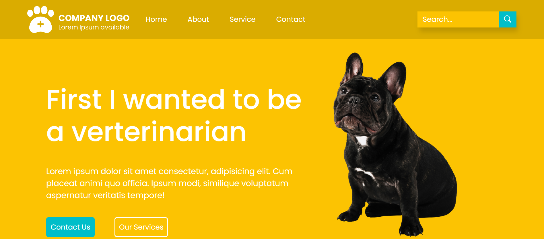 GitHub - Ashishdevelopr/AnimalCare: Pets Clinic Website made with react ...