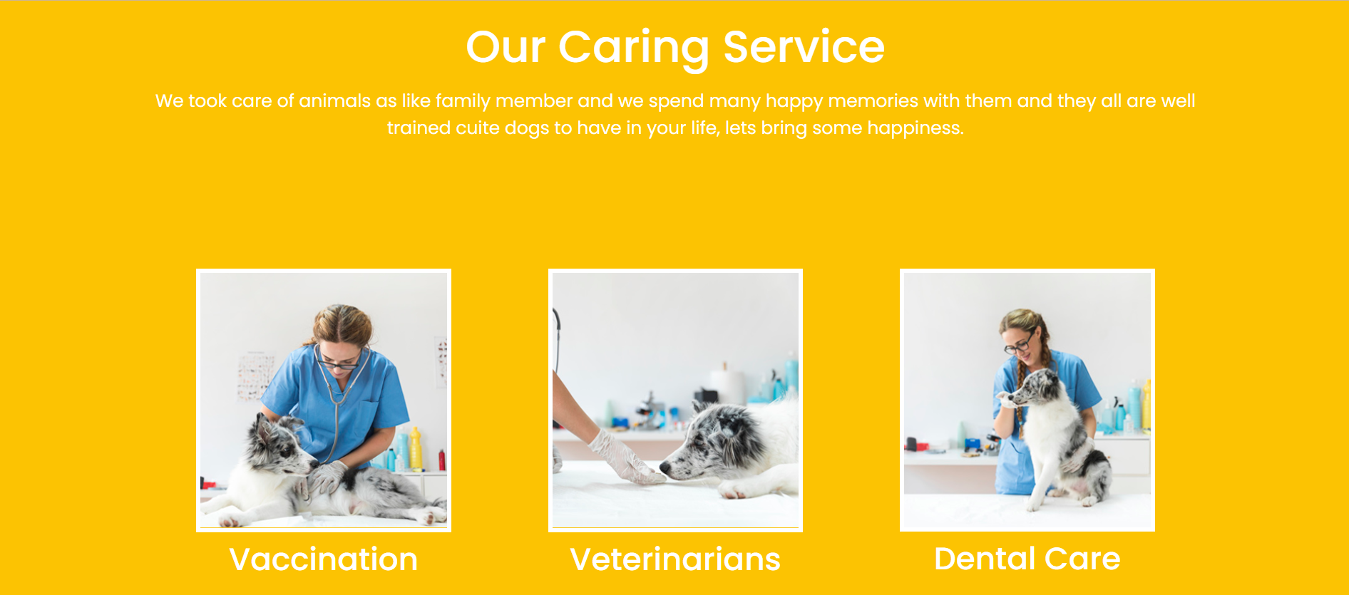 GitHub - Ashishdevelopr/AnimalCare: Pets Clinic Website made with react js and fully responsive ...
