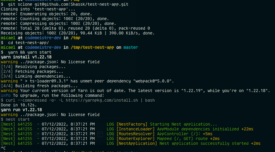 `nest start` ignores exclude folders from tsconfig · Issue #9925 ...