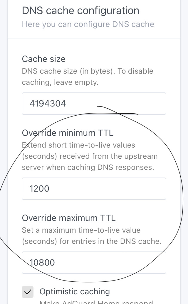 Add an option to set the TTL of blocked domains · Issue #6147 · AdguardTeam/AdGuardHome · GitHub