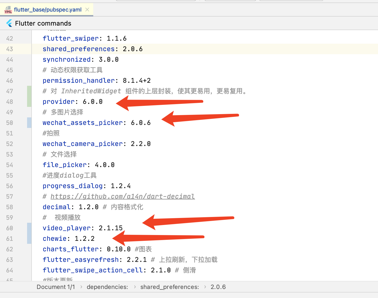 Because chewie >=1.2.0 depends on provider ^5.0.0 and flutter_base depends on provider 6.0.0 ...