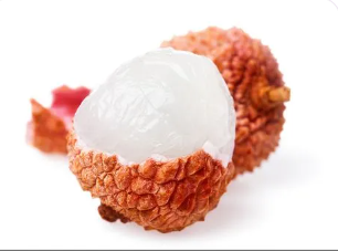 GitHub - xiaohui82/mmpretrain