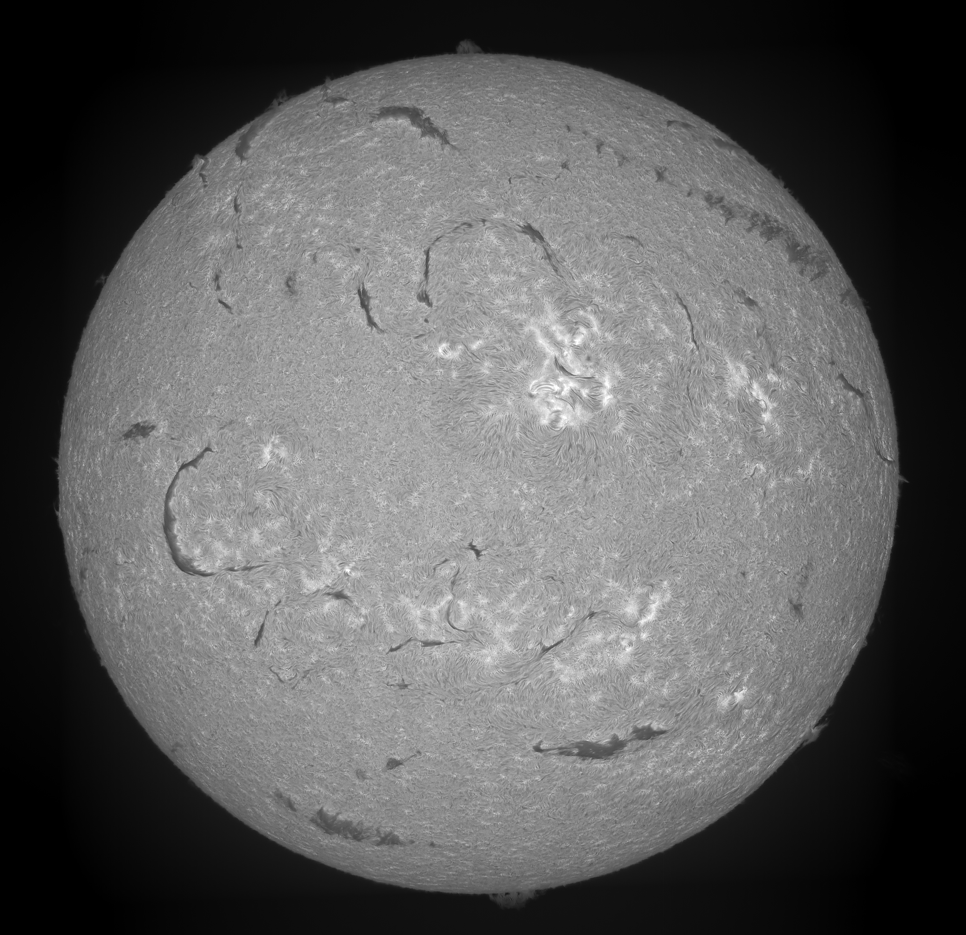 Comparison of H-alpha and H-beta spectroheliograph images with a ...