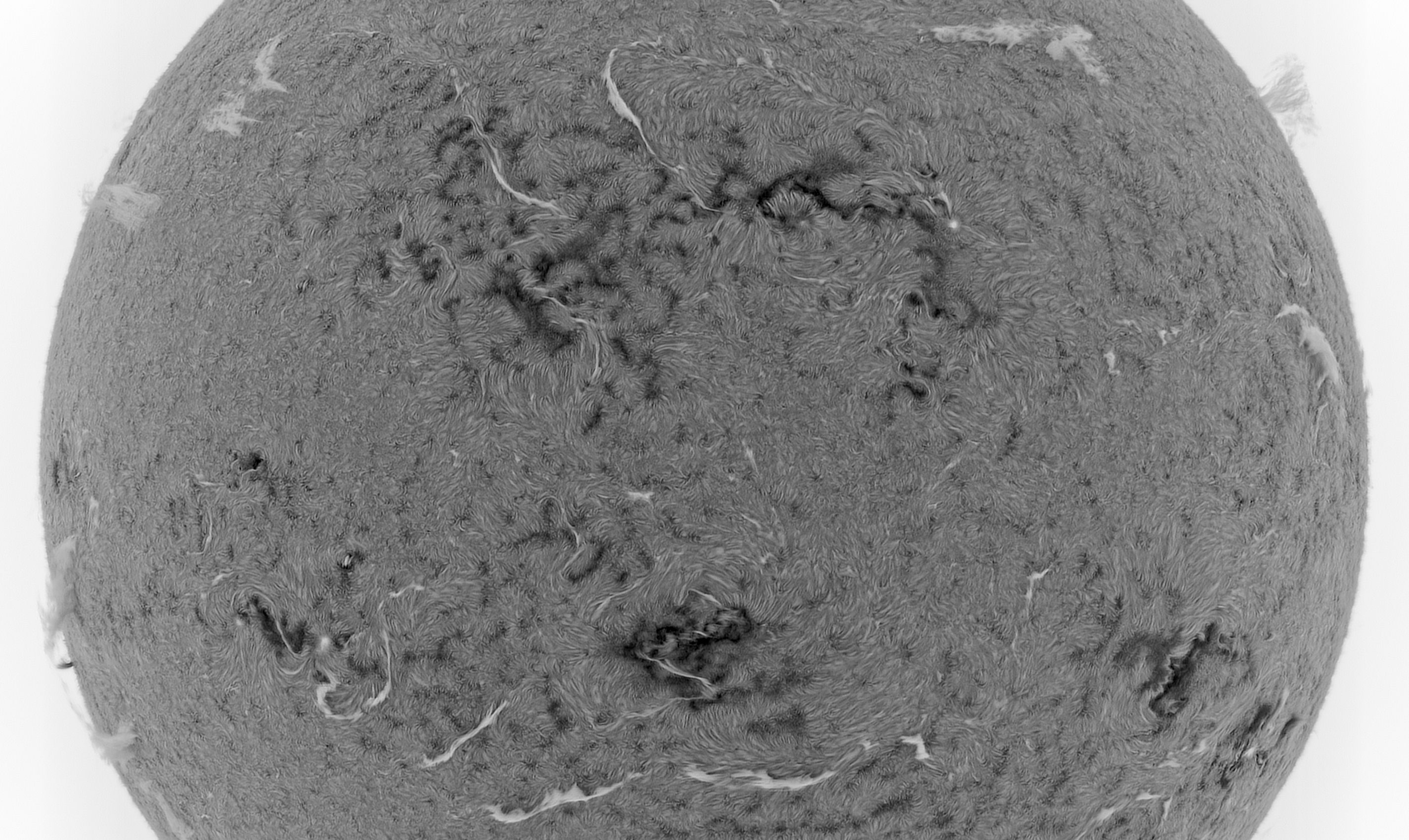 H-alpha spectroheliograph image with very good resolution -- 10 June ...