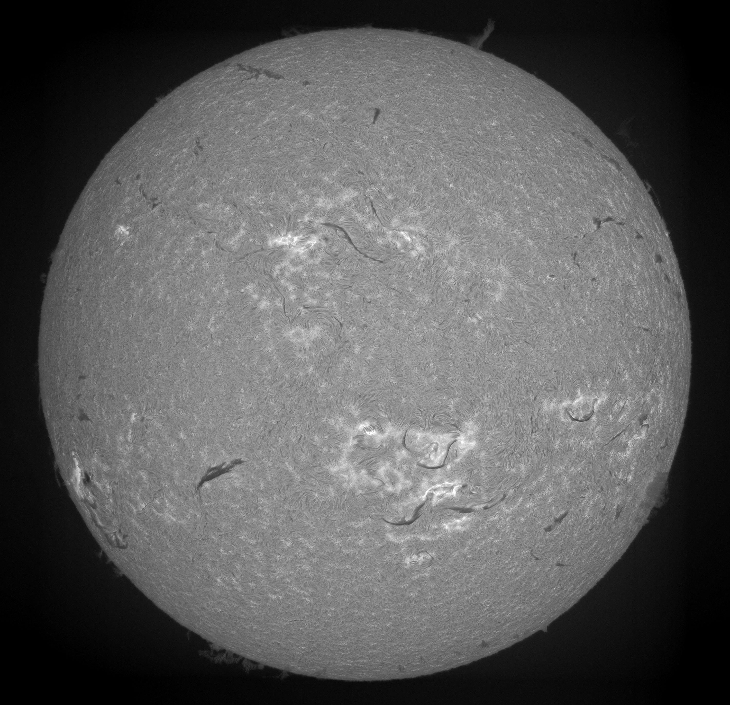 H-alpha and Ca-H spectroheliograph images from 7 July - Solar Observing ...