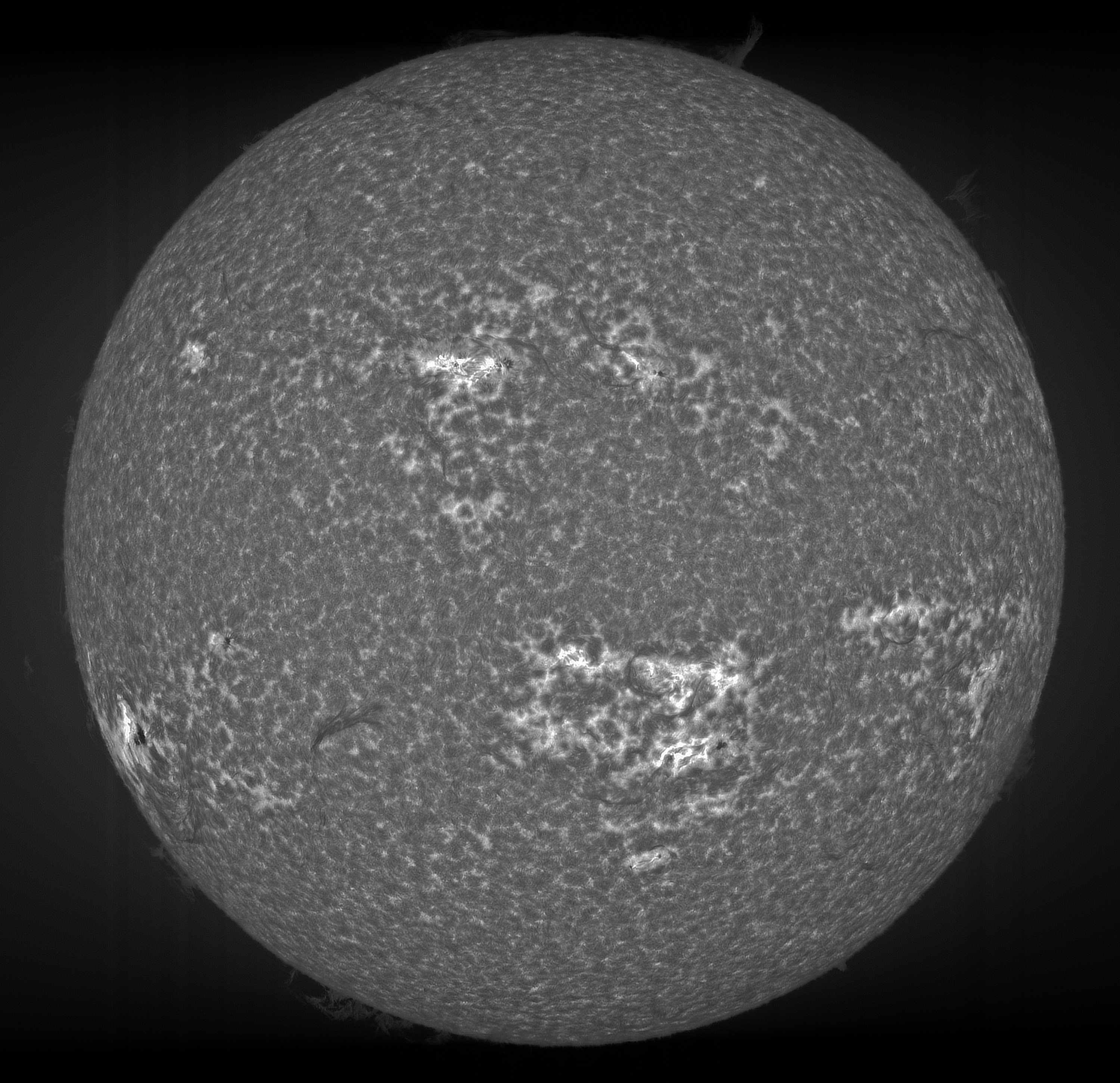 H-alpha and Ca-H spectroheliograph images from 7 July - Solar Observing ...