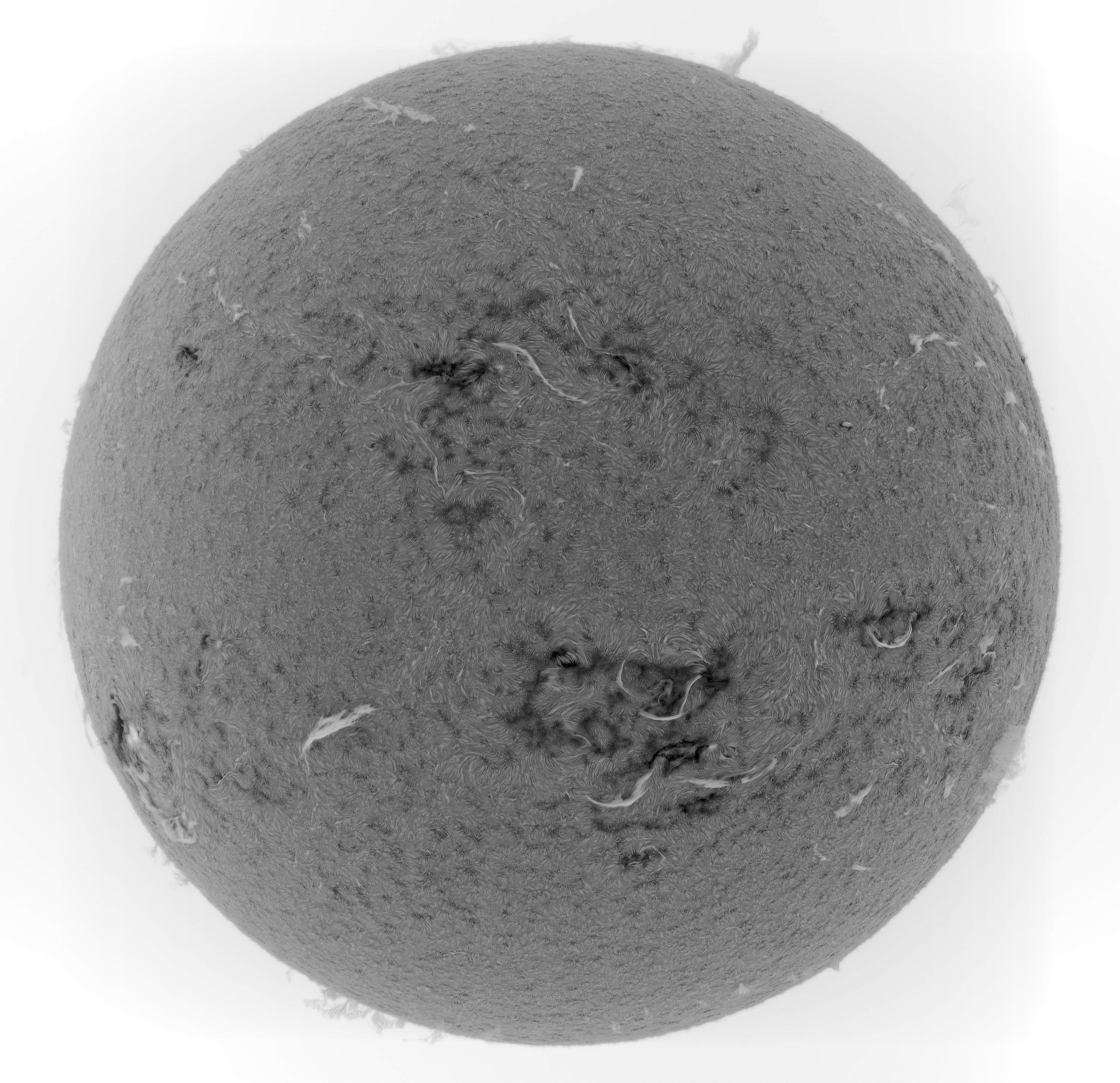 H-alpha and Ca-H spectroheliograph images from 7 July - Solar Observing ...