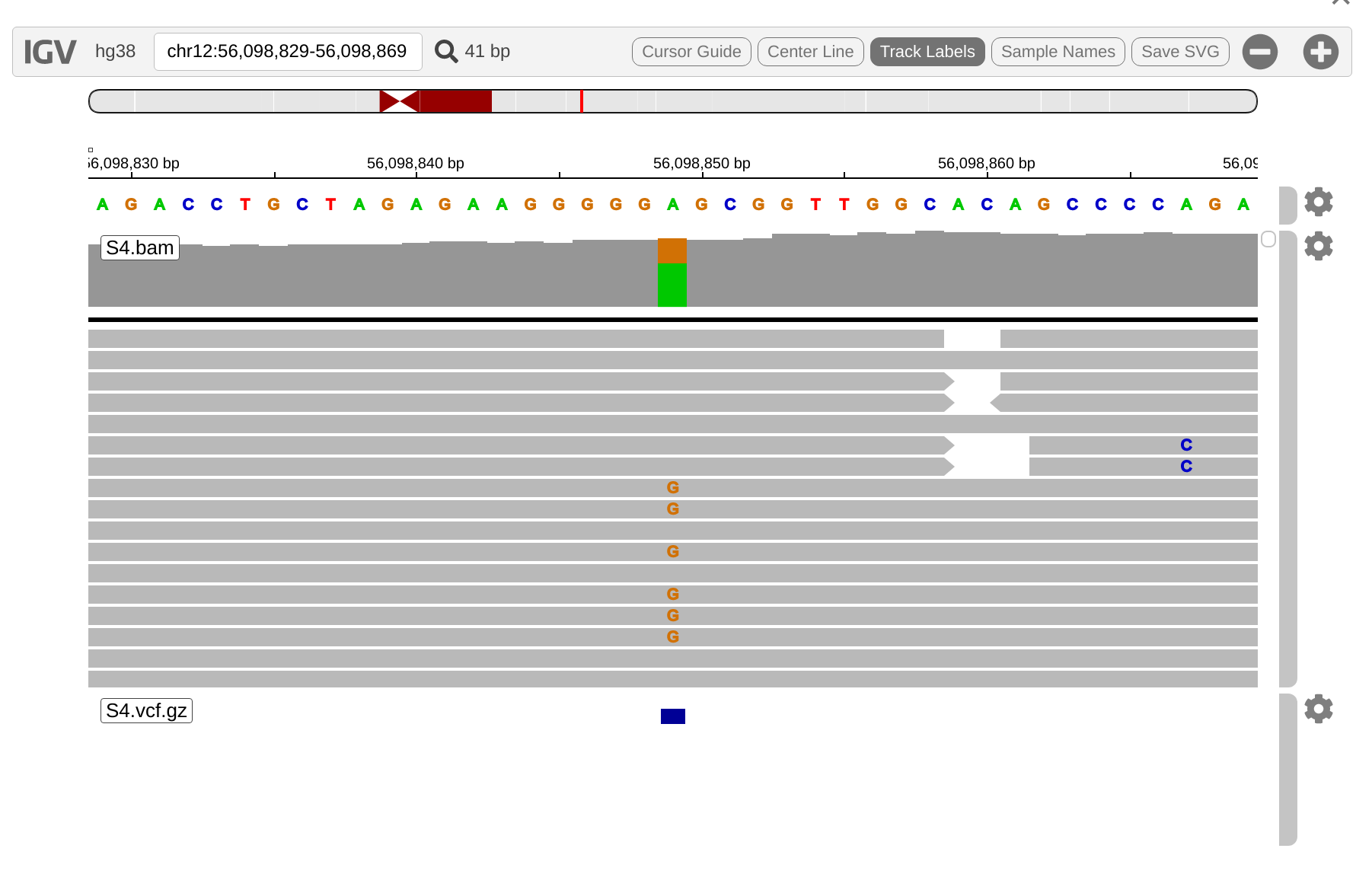 Tracks not lining up when loaded via browser.loadTrack? · Issue #1300 · igvteam/igv.js · GitHub