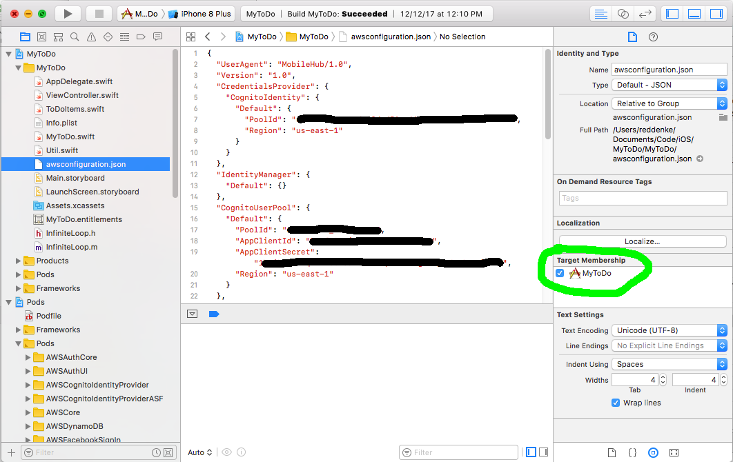 You Need To Configure `awsconfigurationjson` Or `infoplist` Before Using This Method · Issue