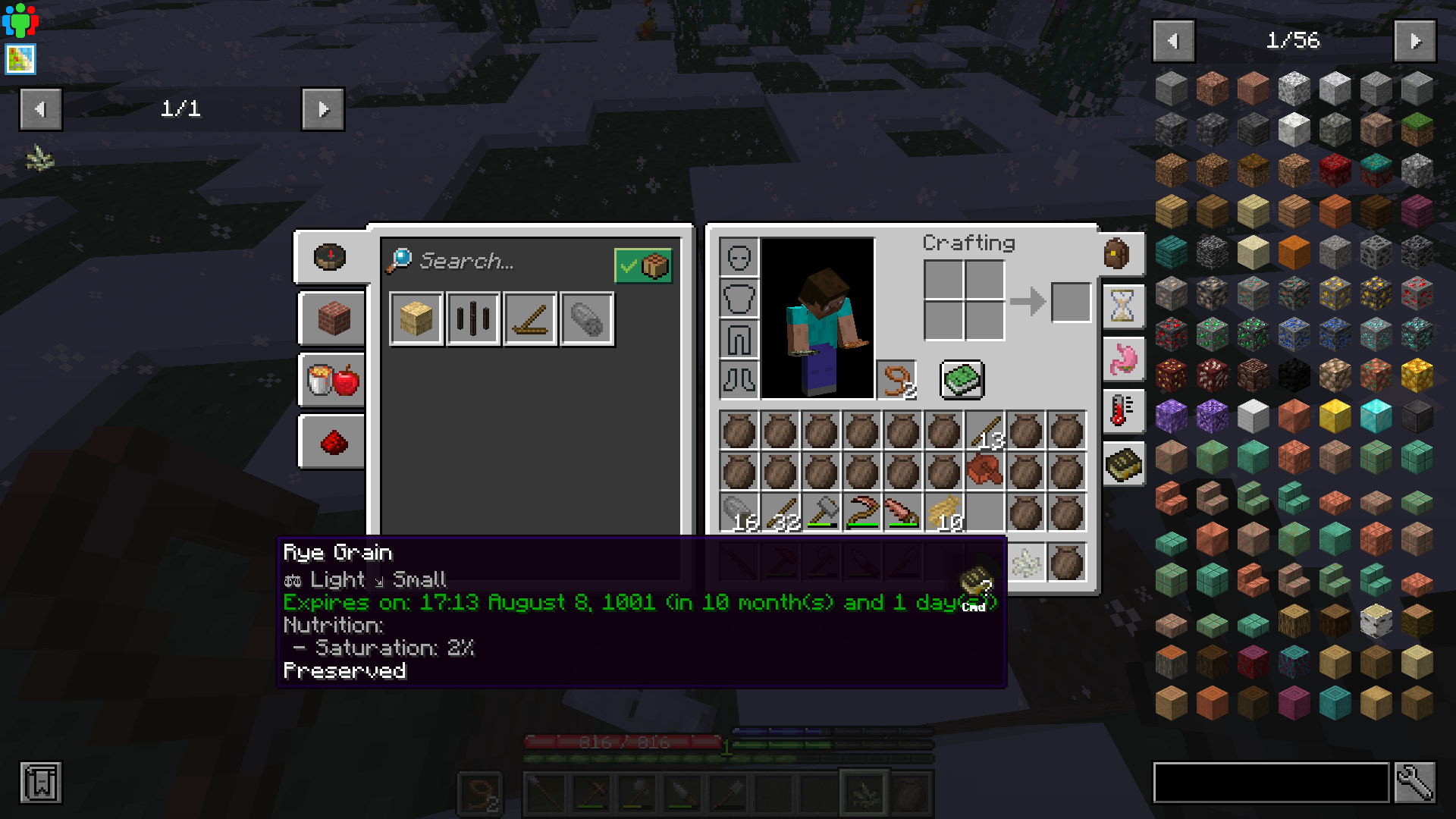 Preserve Food Items With Vessel Bug · Issue #2443 · TerraFirmaCraft/TerraFirmaCraft · GitHub