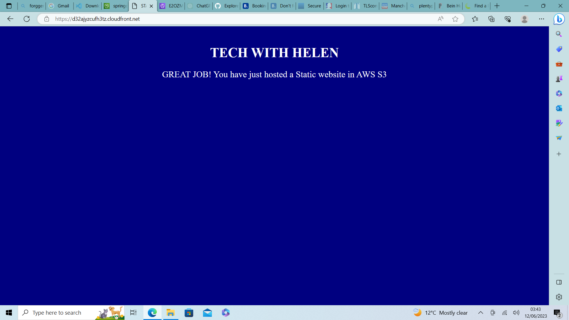 Github Kingofhull My First Repo My First Repo