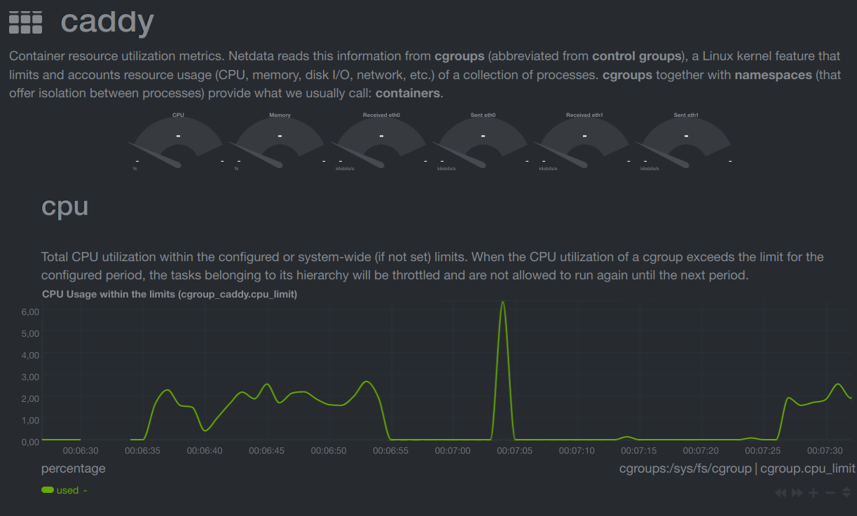 Basic Auth causes Caddy to use an extraordinary amount of CPU while viewing the NetData ...