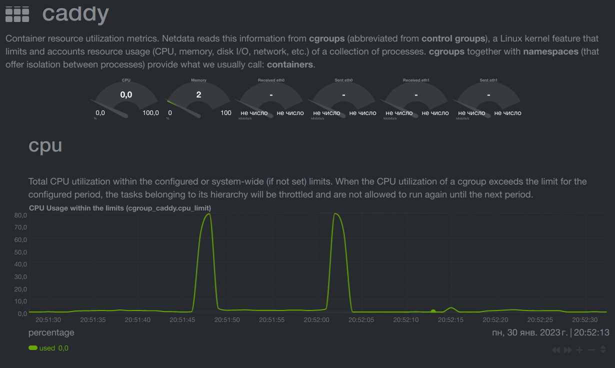 Basic Auth causes Caddy to use an extraordinary amount of CPU while viewing the NetData ...