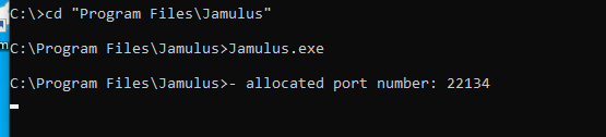 Jamulus shows unexpected "allocated port number" output in command prompt · Issue #2183 ...