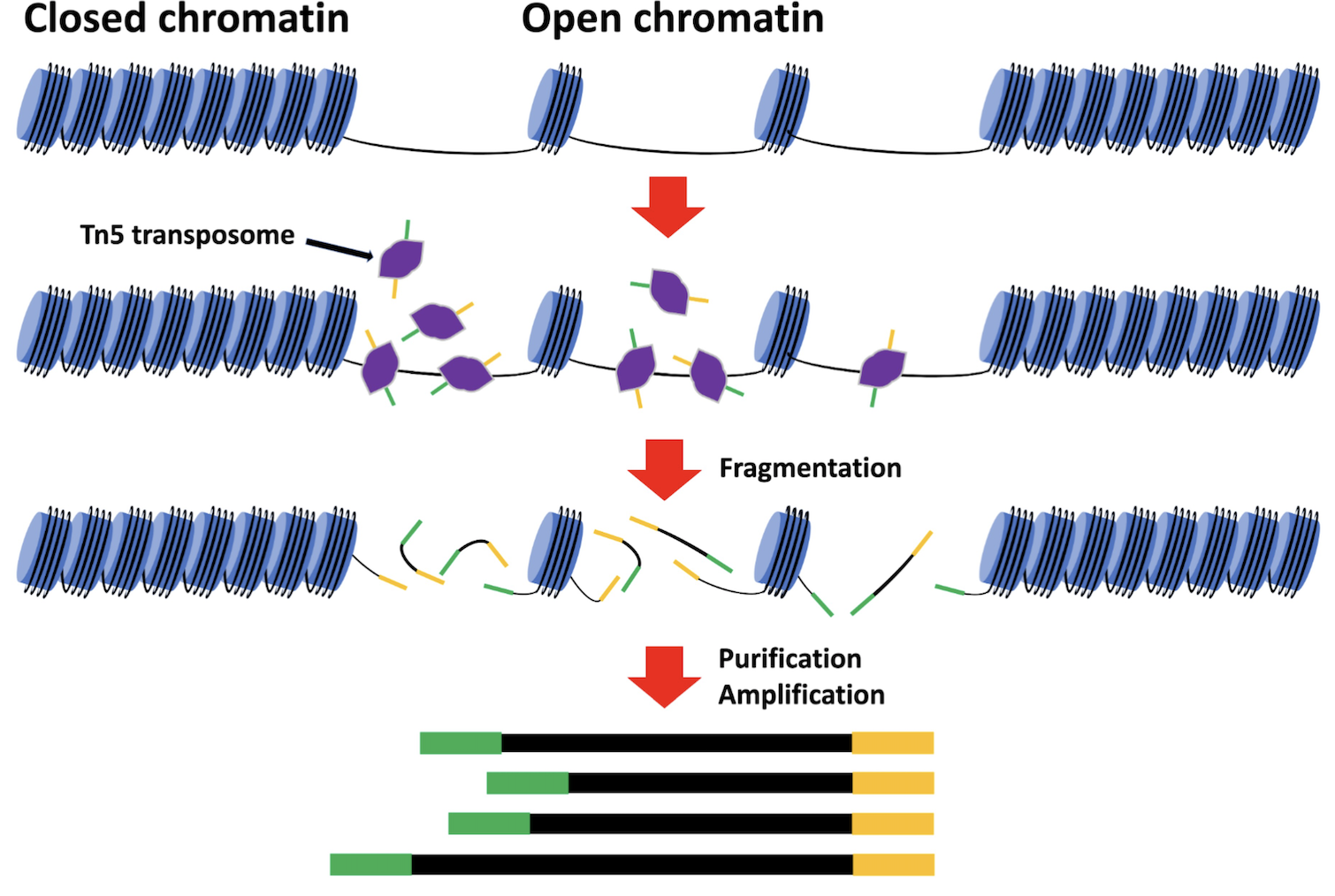 GitHub - ERASMUSlab/MESIA