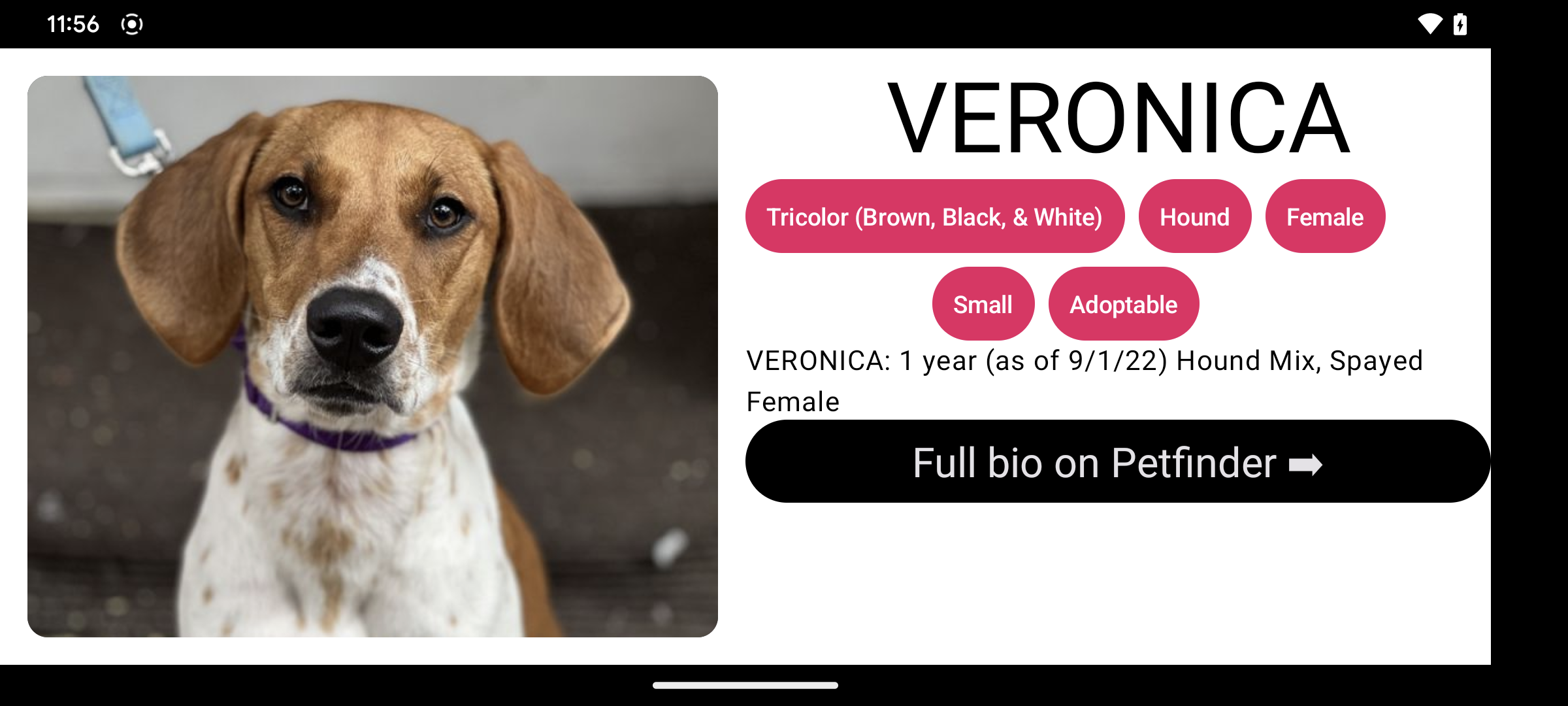 Polish sample app UI · Issue #6 · slackhq/circuit · GitHub