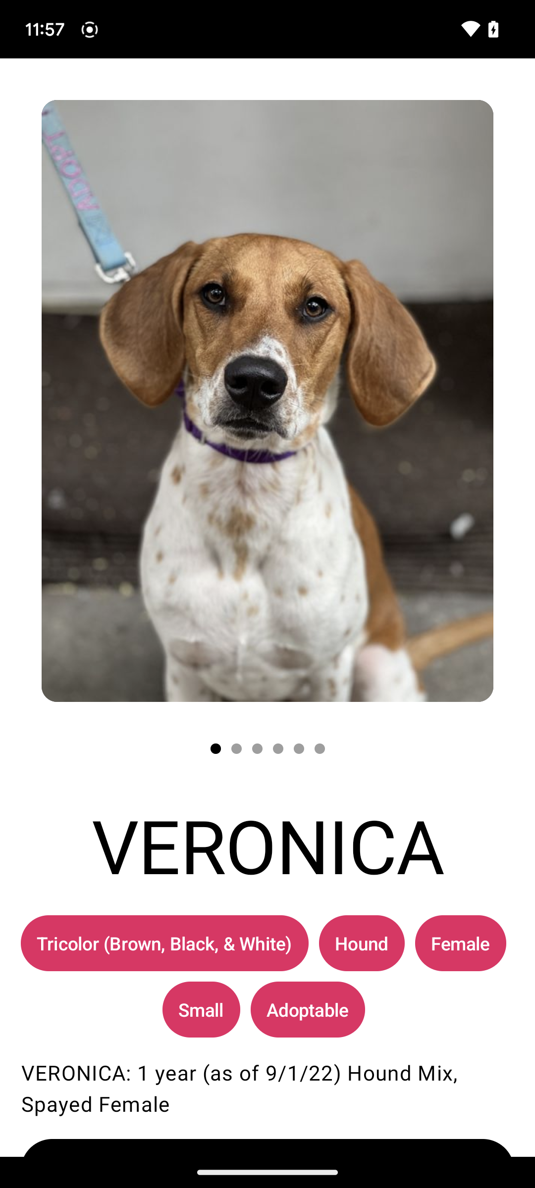 Polish sample app UI · Issue #6 · slackhq/circuit · GitHub