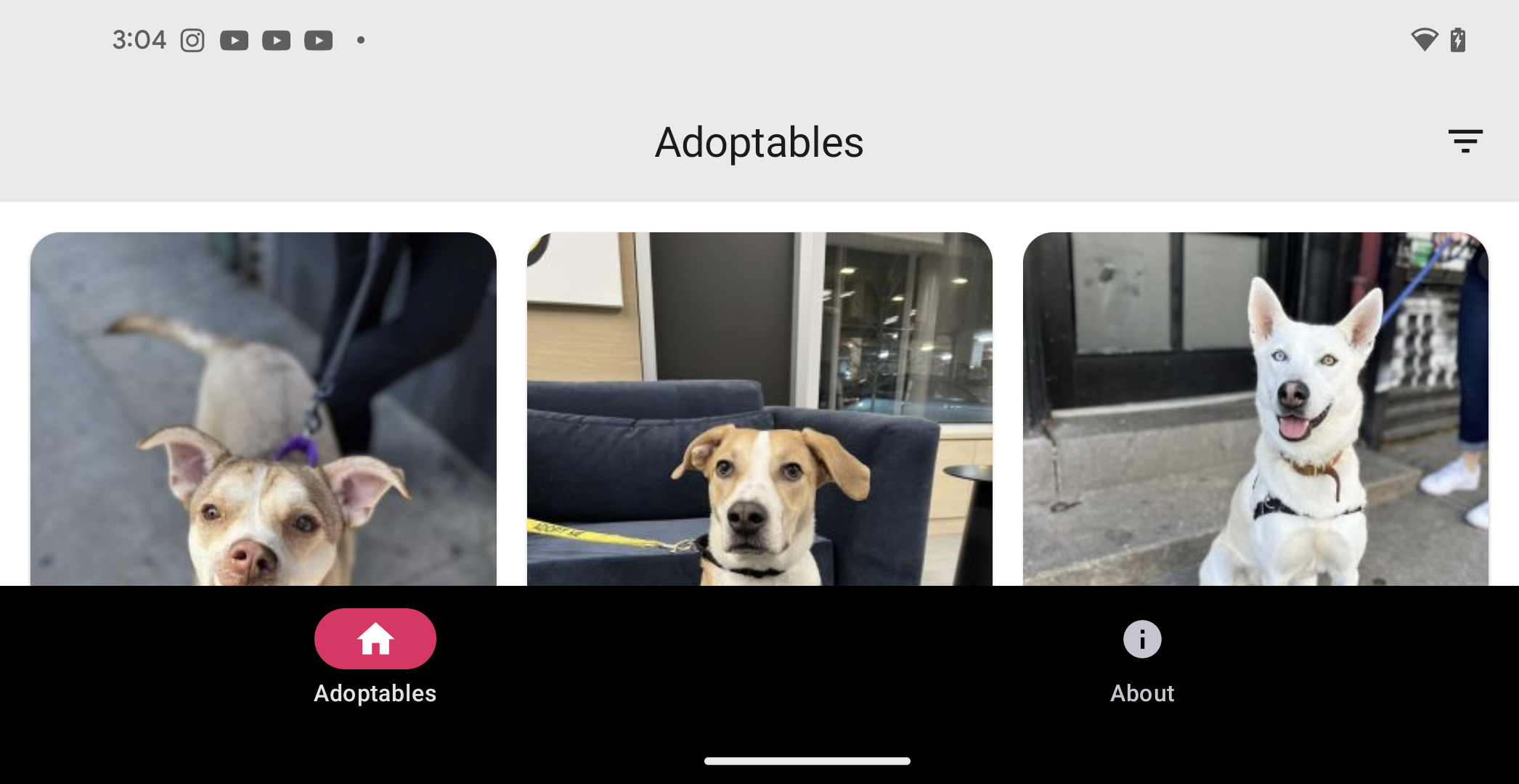Star sample doesn't handle cutout in landscape · Issue #732 · slackhq/circuit · GitHub