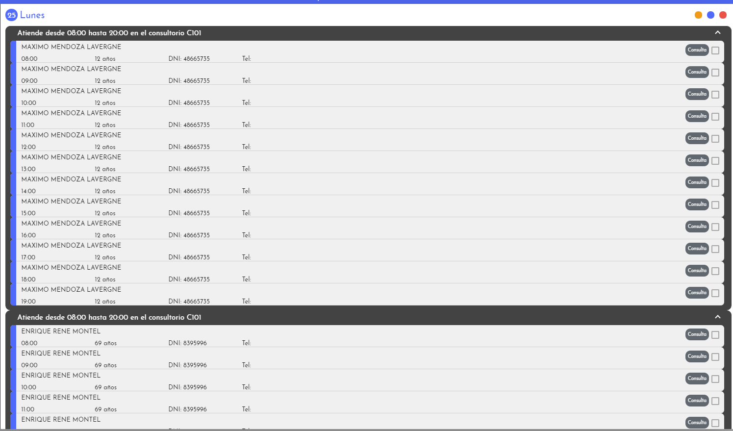 feat(Expansion Panel): "Virtual" expansion panel · Issue #19874 ...