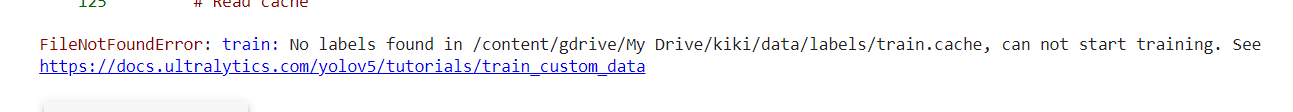 Validation error: "no labels found in val set, can not compute metrics without labels" · Issue ...