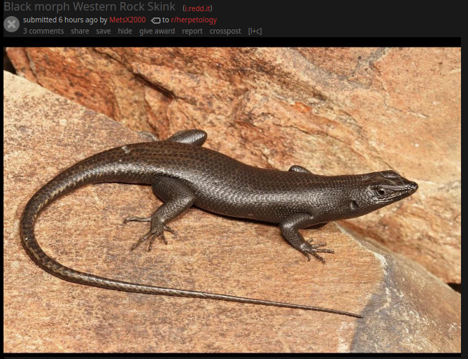 RES-style image and video dragging for resizing · Issue #1215 ...