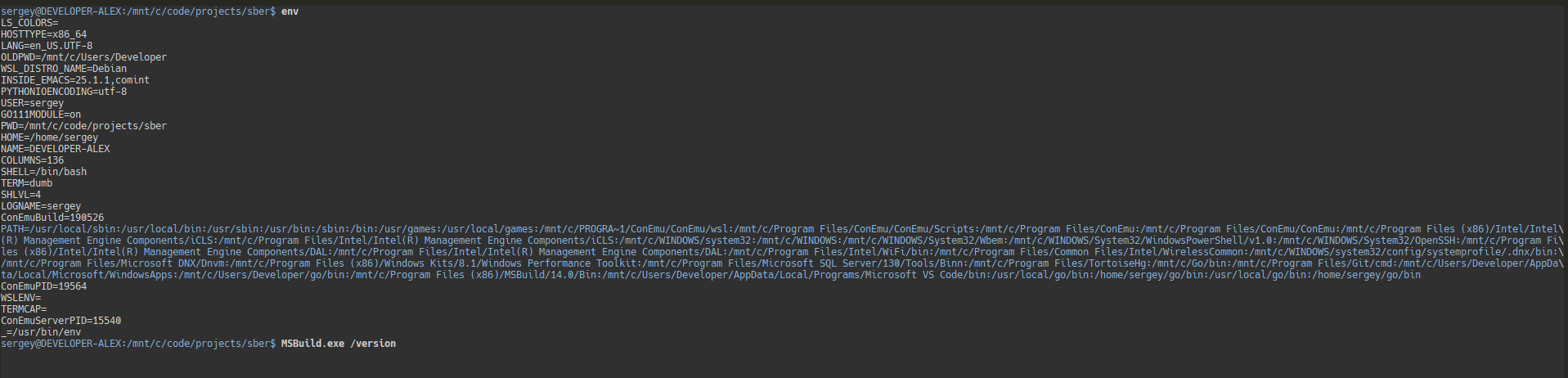 Exe Run Hangs If Run Inside Emacs · Issue 4412 · Microsoftwsl · Github