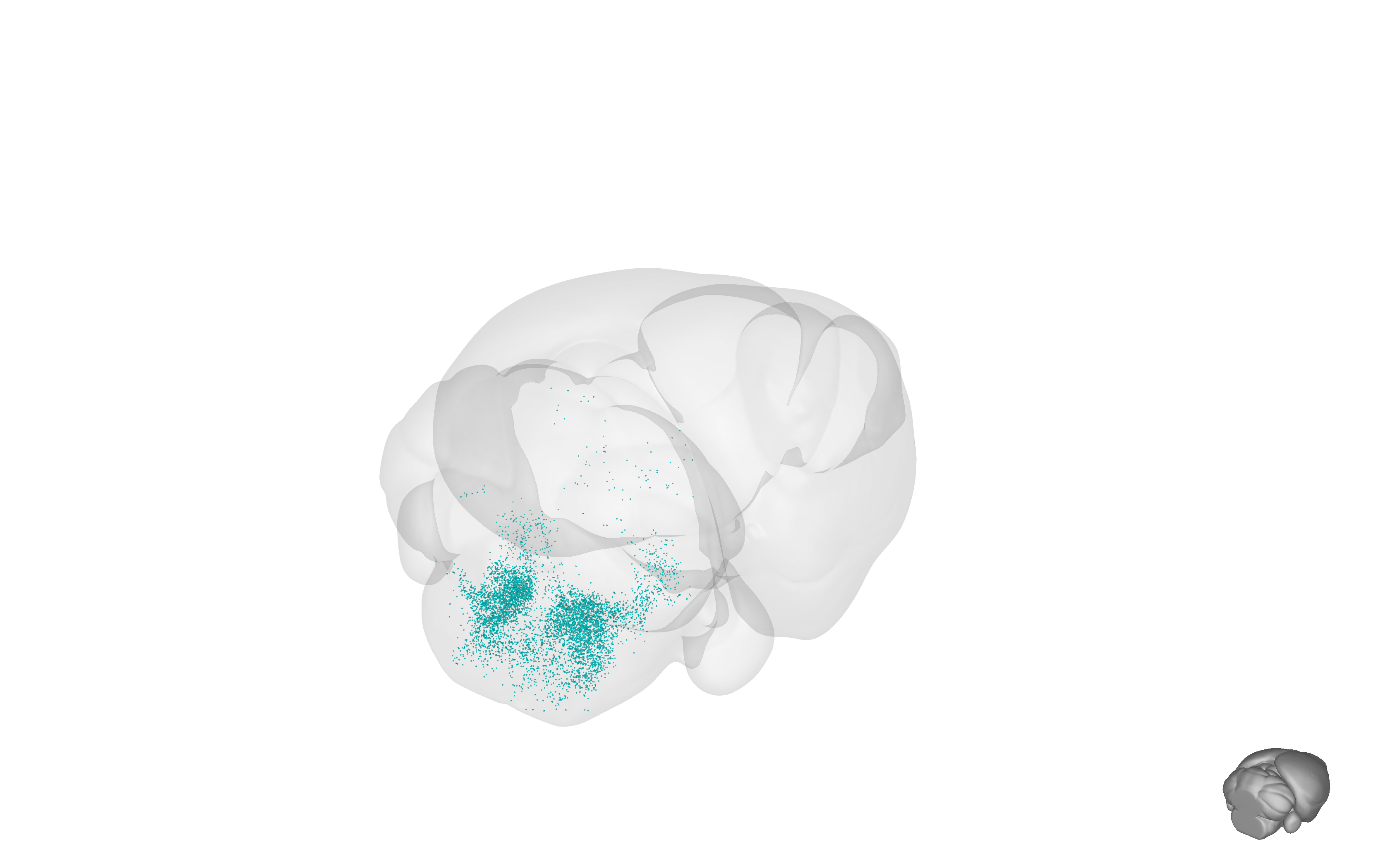 Rendering style · Issue #90 · brainglobe/brainrender · GitHub