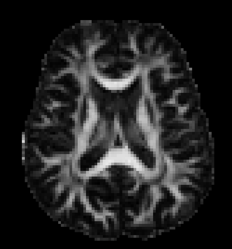 Difficulty starting the program · Issue #291 · muscbridge/PyDesigner · GitHub