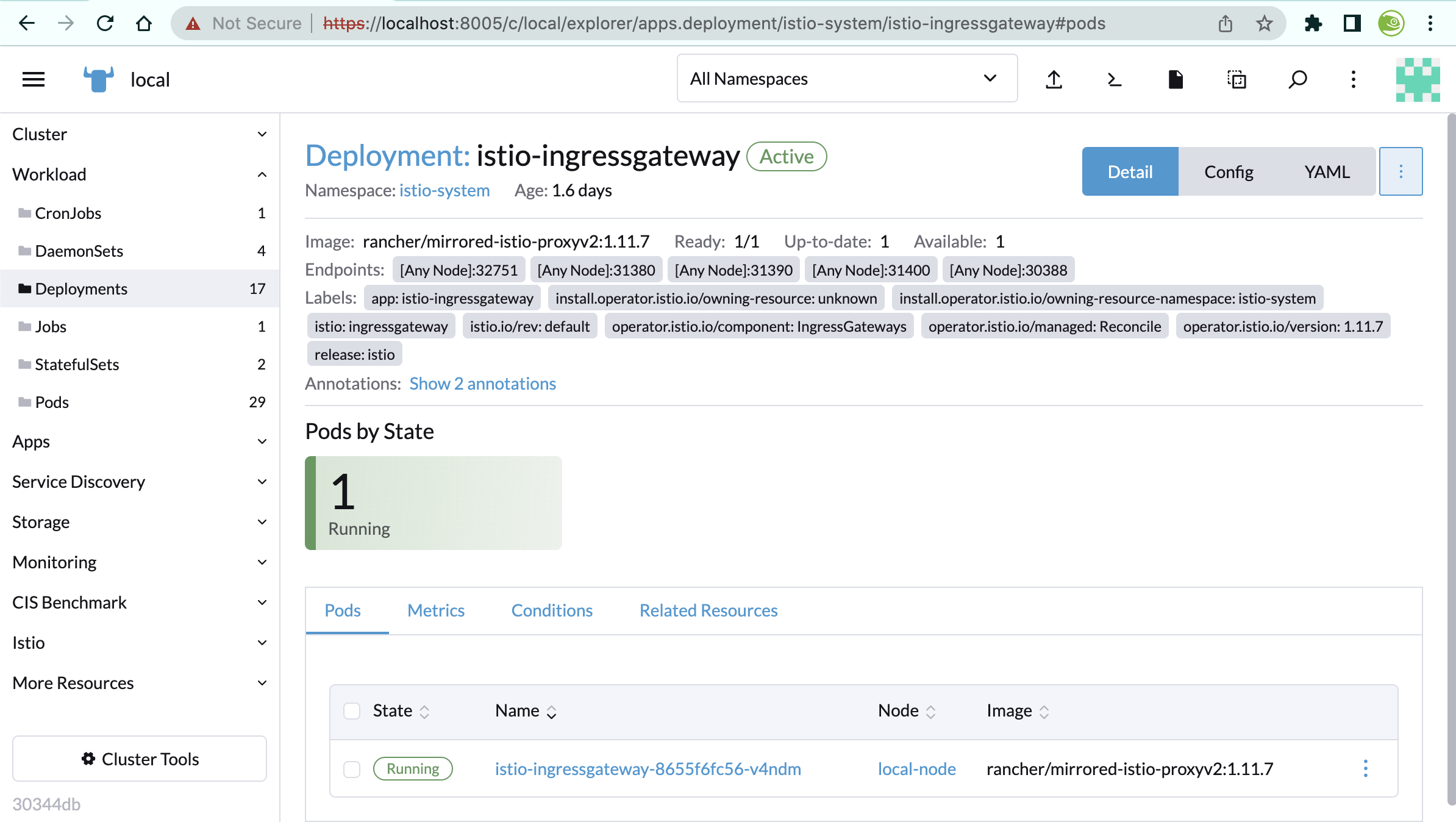 Add additional metadata to workload detail view by neillsom · Pull ...
