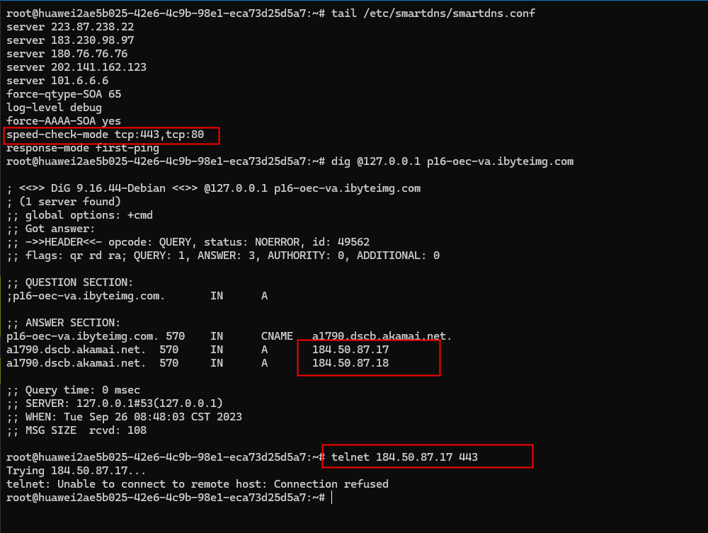 添加了TCP测速，但是解析得到的IP，端口都不通 · Issue #1506 · pymumu/smartdns · GitHub