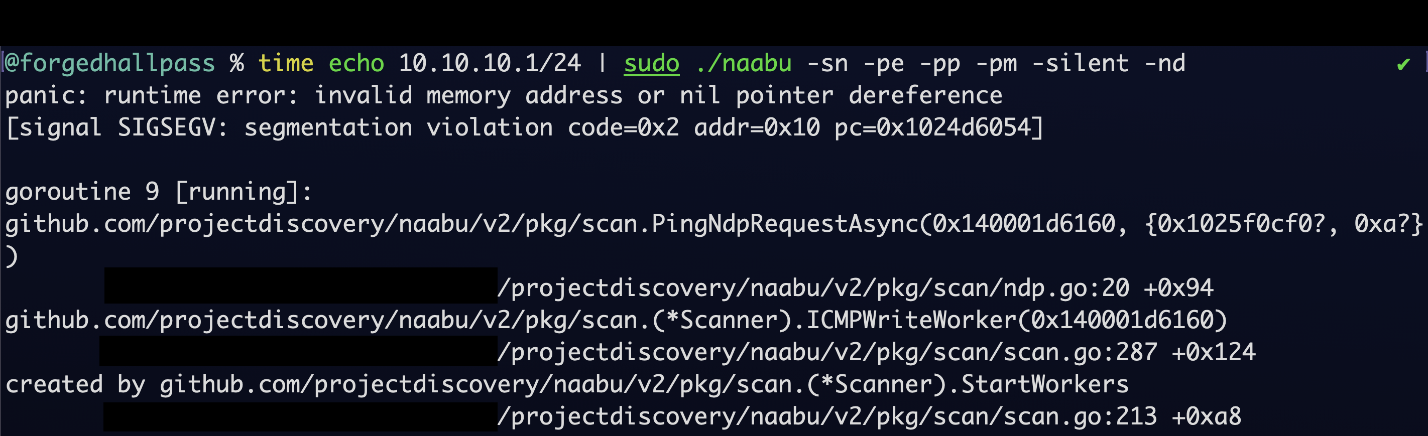 Panic when using certain host discovery flags · Issue #381 · projectdiscovery/naabu · GitHub