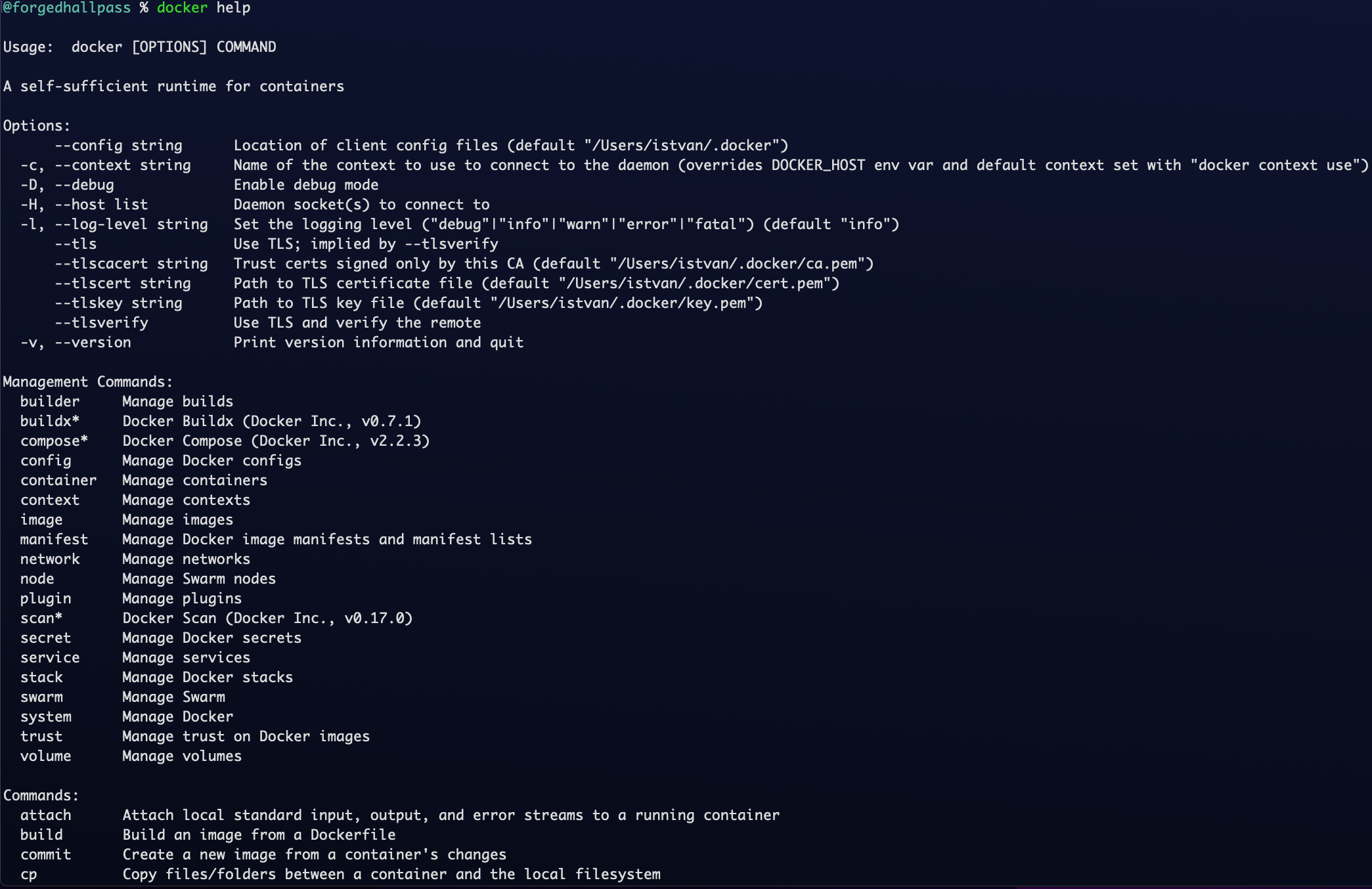 Further improve the help/search functionality · Issue #69 · projectdiscovery/goflags · GitHub